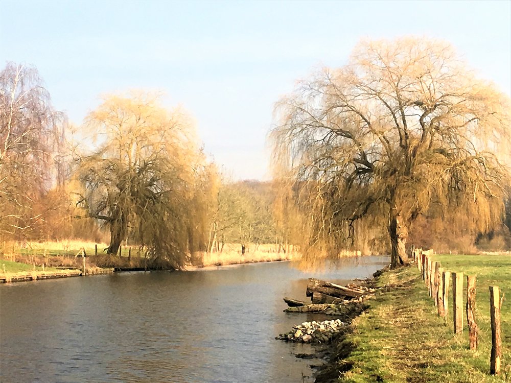 Neuer TraveBlick Hamberge - Hamberge - Neubau Eigentumswohnung kaufen