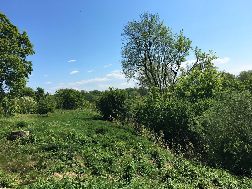 Neuer TraveBlick Hamberge - Hamberge - Neubau Eigentumswohnung kaufen